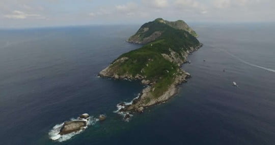 Snake Island - The Deadliest Island in the World - World Top Top